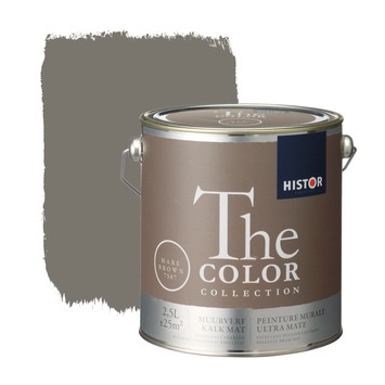 Histor The Color Collection muurverf hare brown 2,5 liter kopen ...